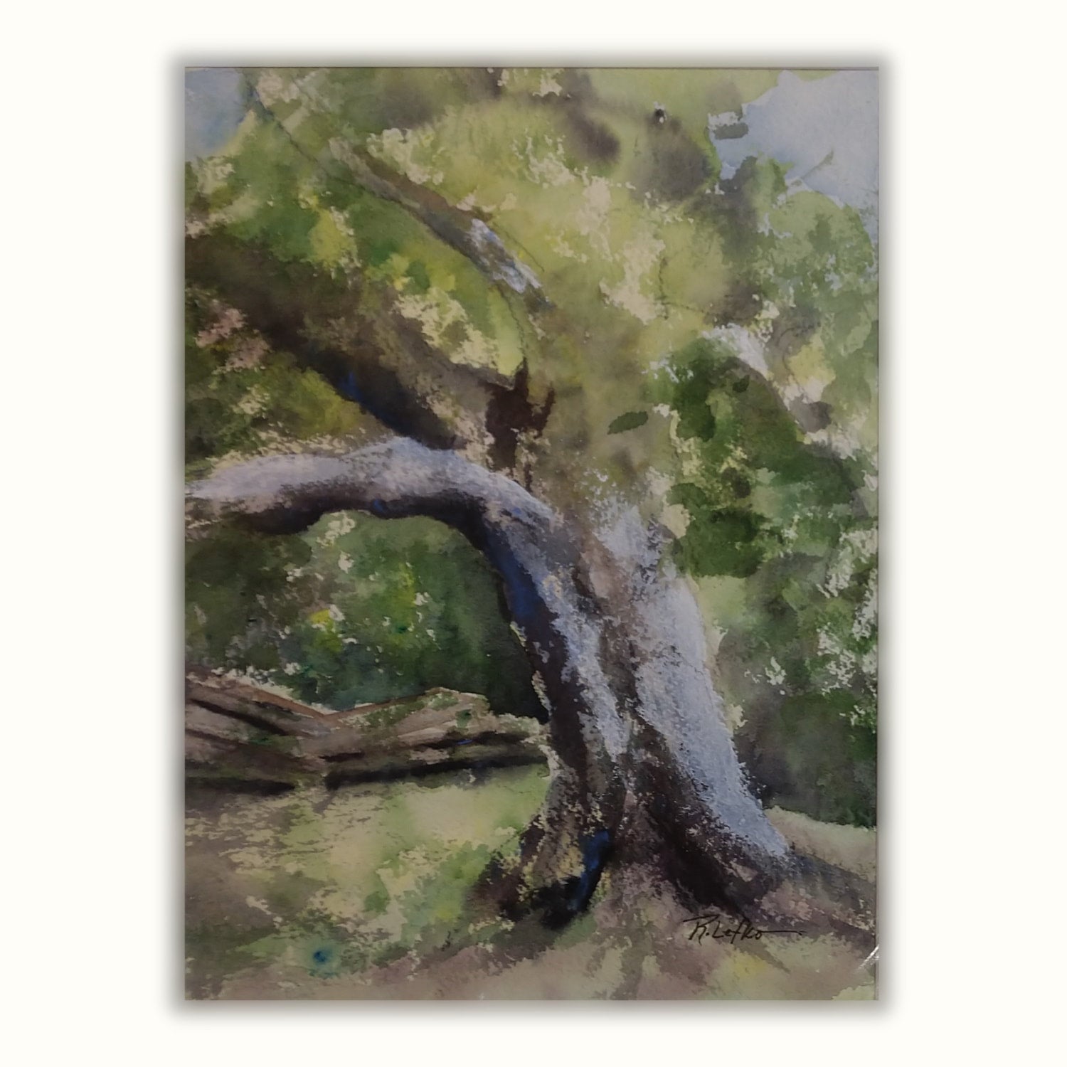RL - Original, Unframed - “Oak Up Close” | Ron Campbell Art & Custom ...