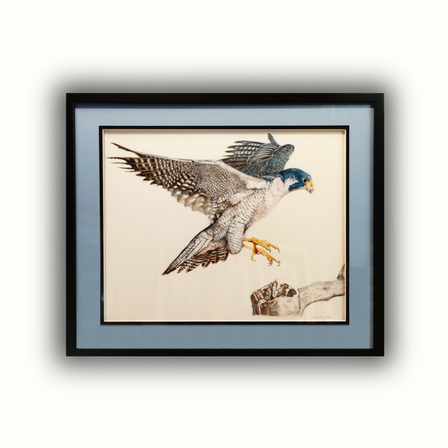 CC - Print, Framed - "The Peregrine" *** SOLD! *** | Ron Campbell Art ...
